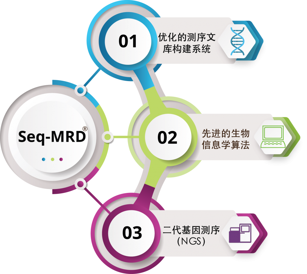 Seq-MRD® 检测原理 – 艾沐蒽®