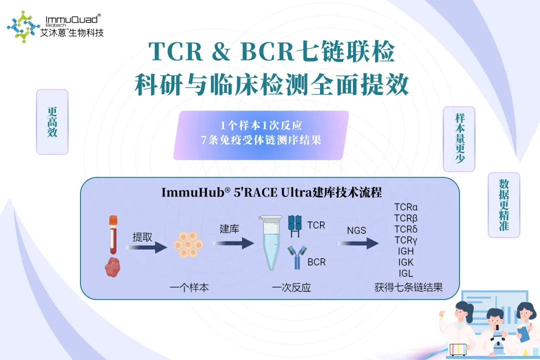 ImmuHub®免疫组测序服务焕新体验｜TCR & BCR七链联检，科研与临床检测全面提效 – 艾沐蒽®