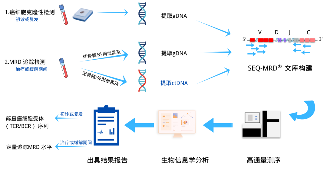淋巴瘤Seq-MRD®检测介绍| 基于ct-DNA Ig/TCR NGS技术检测MRD – 艾沐蒽®